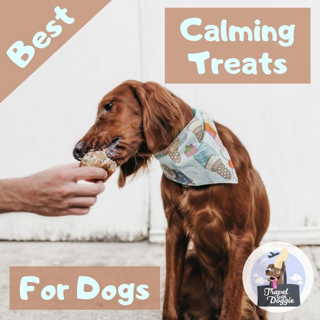 Best Calming Treats For Dogs – Travel With Doggie